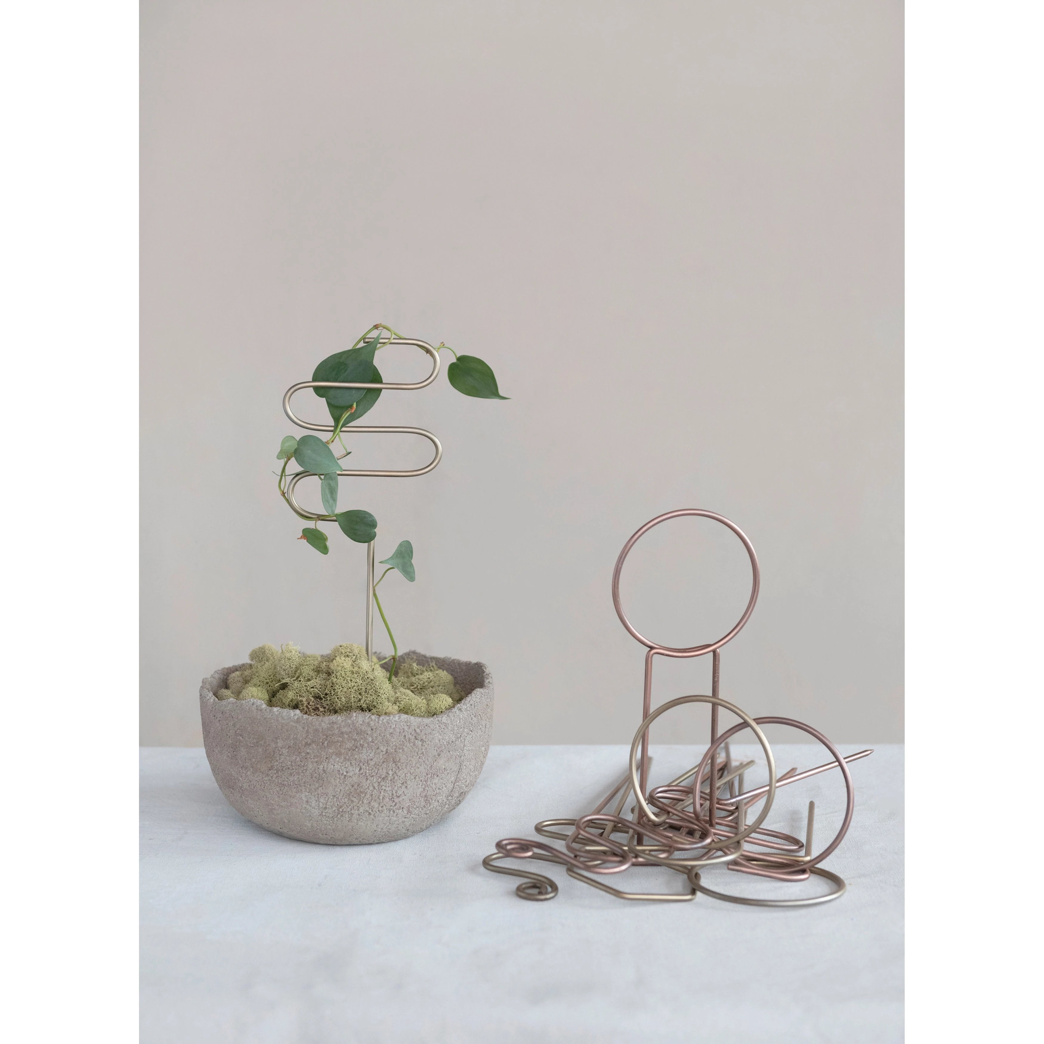 Garden Collections – Practically Magic Garden